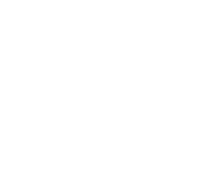 Developing an Effective Asset Management Strategy - TWPL