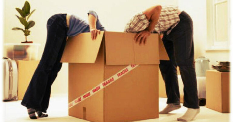 Asset Management Unpacked: Understanding the Relationship Between ...